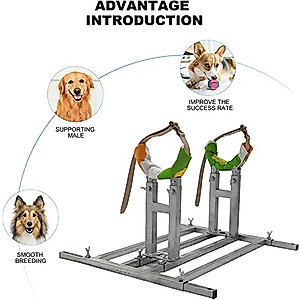 Sonorphine Dog Breeding Stand Stainless Steel Dog Breeding Stand Adjustable Height and Length Pet Fixed Bracket Dog Breeding Accessories Supplies Breeding (L)