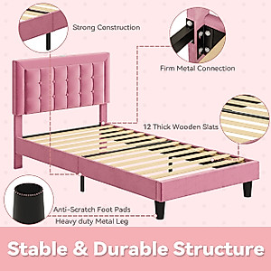 ANCTOR Twin Bed Frame with USB Ports, Velvet Upholstered Platform Bed with Height Adjustable Headboard, Heavy Duty Metal Support Legs, Stable, Durable, No Box Spring Needed, Noise-Free, Easy Assembly