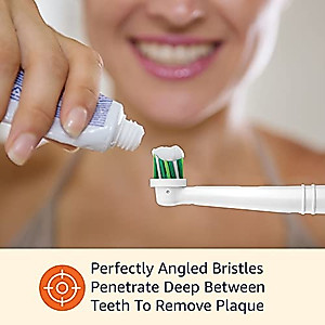 Amazon Basics Perfect Angle Replacement Brush Heads, 3 Count, 1-Pack