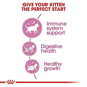 Royal Canin Feline Health Nutrition Dry Food for Young Kittens, 7 lb bag(Packaging May Vary)