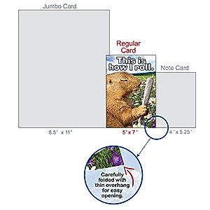 NobleWorks - 1 Happy Birthday Card with Funny Animals - Wildlife and Pet Humor, Fun Birthday Celebration Notecard - How I Roll C3956BDG