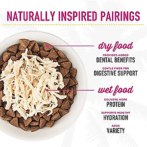 Tiki Cat Grain Free Soft & Chewy Low Calorie Treats for Cats & Kittens - Chicken 2 oz. Bags 8 Pack