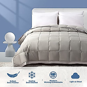 Dafinner Down Blanket Queen Size | Lightweight Summer Cooling Bed Comforter | 750 Fill-Power Feathers & Down Quilt, Noiseless & Extra Soft Thin Duvet Insert with Satin Trim, Gray