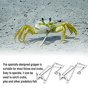 Qiilu Seafood Grabbing Tools Crabs Grabber Stainless Steel 2 Pcs Seafood Grabber Stainless Steel Grabbing Tools for Catching Crabs Pike Predatory Fish (Single Hook)