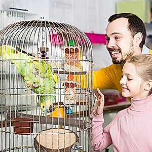 12PCS Bird Perches for Cage Bird Stand Chew Toys, Natural Wood Parrot Perch Stand Perch Platform Cage Accessories for Parakeets Budgies Cockatiels Conure Lovebirds