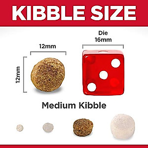 Hill's Science Diet Dry Dog Food, Adult, Large Breed, Light, Chicken Meal & Barley Recipe For Healthy Weight & Weight Management, 30 Lb. Bag