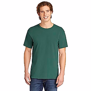 Comfort Colors by Chouinard Adult Ring-Spun Tee (Light Green) (XL)