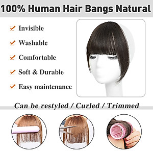 WECAN Clip in Bangs 100% Human Hair Extensions Dark Brown Bangs Hair Clip Fringe with Temples Wigs for Women Curved Bangs for Daily Wear (L Dark Brown)