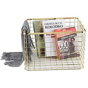 Keebgyy Stainless Steel Clothes Laundry Storage Basket, Laundry Hamper, Laundry Basket, with Handles Organizer Storage Basket Clothes Organizer Stainless Steel Basket for Kitchen Bedroom Gold