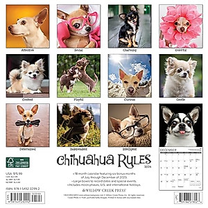 Willow Creek Press Chihuahua Rules Monthly 2024 Wall Calendar (12" x 12")