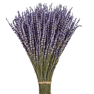June Fox Dried Lavender Flowers 270-300 Stems 100% Natural Dried Lavender Bunches for Home Decoration, Home Fragrance, Handmade Soap Flower