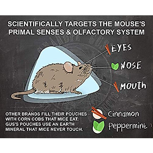 Grandpa Gus's Double-Potent Rodent Repellent Spray, Peppermint & Cinnamon Oil, Prevents Mouse/Rats from Nesting & Chewing on Wires, 16 fl oz (Pack of 1)