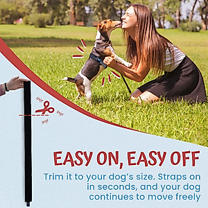 Calmr Dog SettleStrap for Help Calming Anxious & Active Dogs - Canine Pressure Strap for Comfortable & Effective Stress Relief for Dogs - Calming Dog Anxiety Vest - Dog Calming Device, USA Made, 40 in