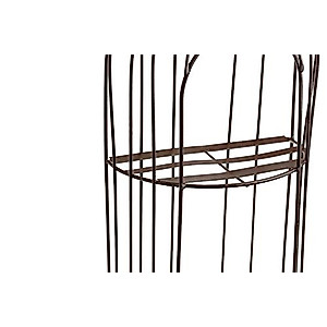 TJ Global 2-Plant Iron Birdcage Hanging Planter, Metal Wire Flower Pot Basket Wrought Iron Plant Stands for Plants, Flowers, Garden, Patio, Balcony Outdoor and Indoor Décor