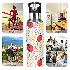 xigua Ladybug Water Bottle Double Walled Stainless Steel Leak Proof Thermo Flask for Sports Gym Cycling Outdoor,20 oz.