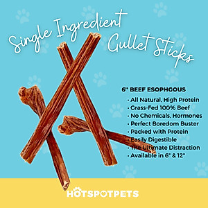 hotspot pets Premium Beef Gullet Sticks for Dogs 6" - All Natural Grass-Fed Beef Dog Chews, Rich in Glucosamine Chondroitin for Joint Health, Single Ingredient No Rawhide Dog Treats