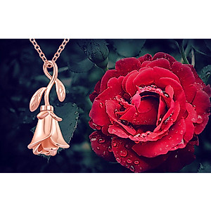 ACJFA 925 Sterling Silver Rose Flower Urn Necklace Cremation Jewelry 14K Rose Gold Plated Keepsake Ashes Memorial Pendant Necklace for Women Gift