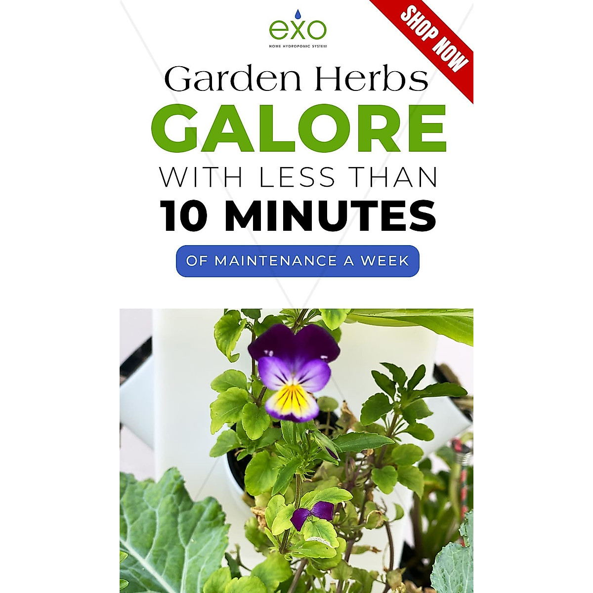 EXO Garden Hydroponic Growing System Vertical Tower - Vegetable Plant Tower Gift for Gardening Lover - Automate Aeroponics Mini Indoor Outdoor Home Grow Herb