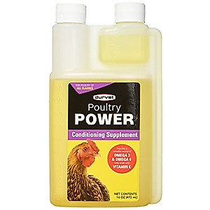 Durvet 698933 Poultry Power Conditioning Supplement 16 oz