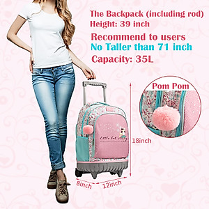 SKYMOVE 18 inch Multi-Compartment Double Handle Wheeled Student School Rolling Backpack for Girls Business Trip Carry-on, Pink Girl