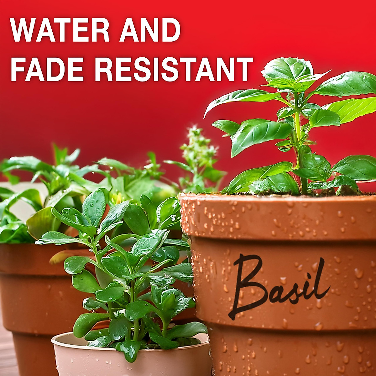 SHARPIE Permanent Markers | Fine Point | Black | 2 Count