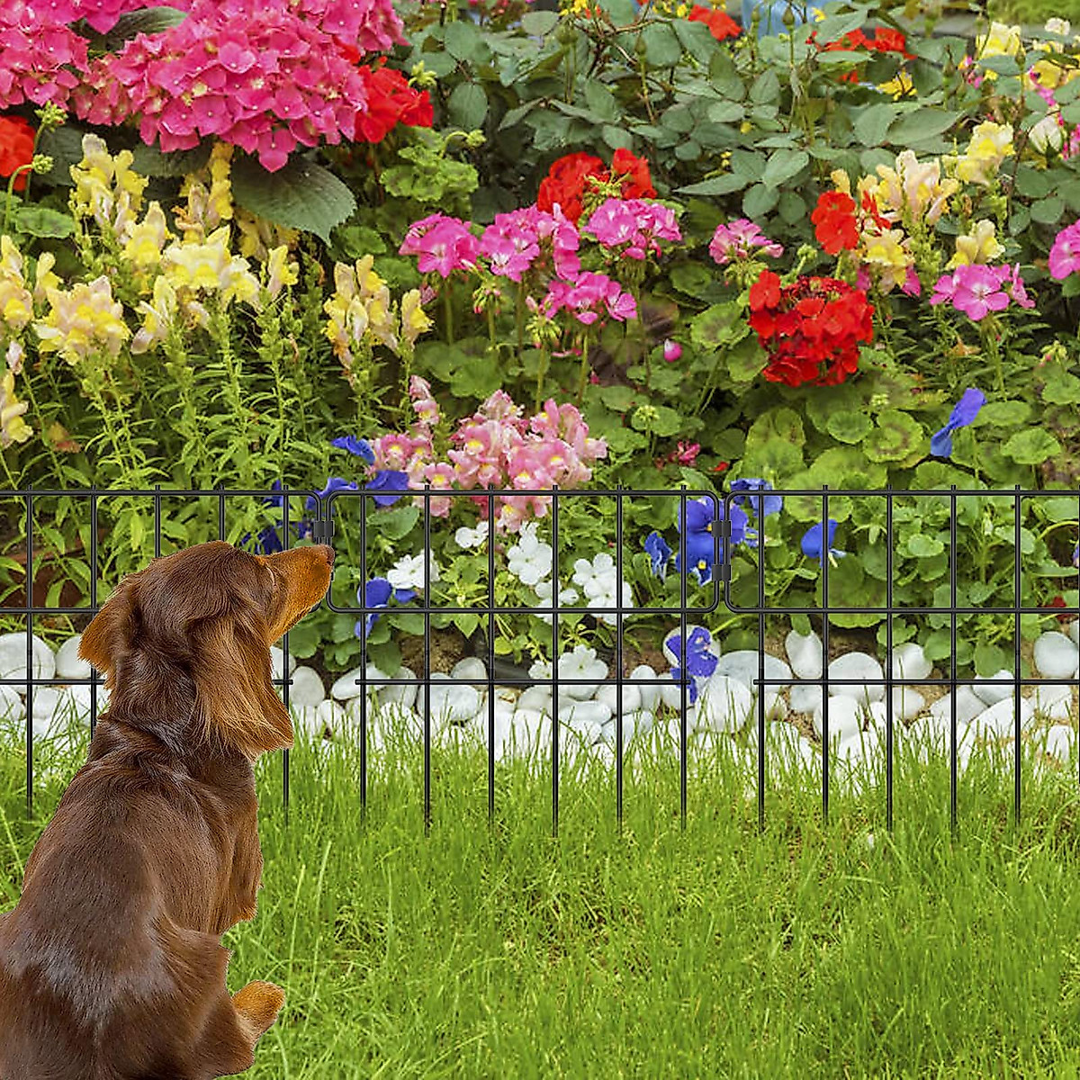 10 Pack Animal Barrier Fence, 17 Inch(H) X 10.8 Ft(L) No Dig Garden Decorative Fencing for Dog, Rabbits, Rustproof Metal Wire Panel Border for Ground Stakes, Outdoor Yard Landscape Patio