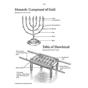 The Scriptures Large Print Duotone Charcoal Edition (ISR)