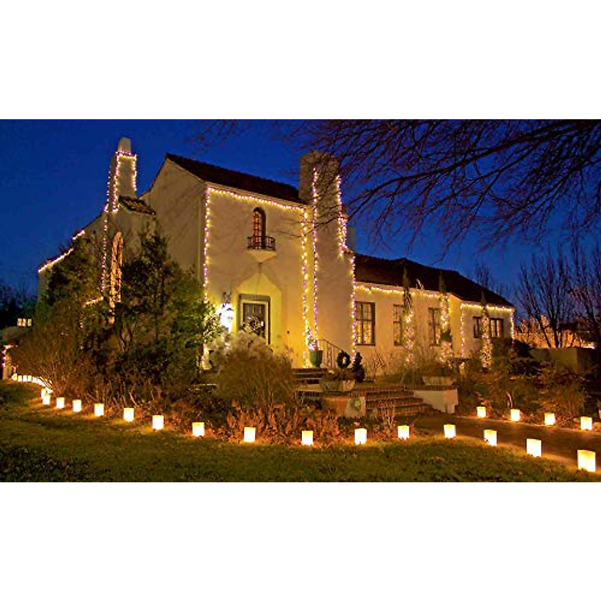 Set of 12 Brown Luminaries, Light String, Bulbs & Stakes