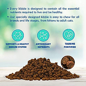 Lucy Pet Cat Salmon, Pumpkin, & Quinoa 10lb