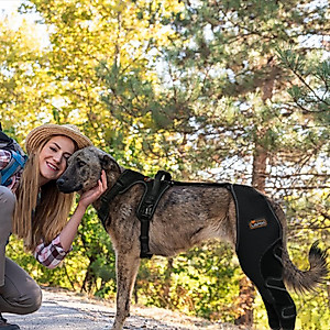 LISPOO Dog Knee Brace for hind Leg Warms Joints and Stable, Dog Leg Brace Fully Wraps hind Legs, Dog Acl Brace for Leg Wounds and Prevent Licking L