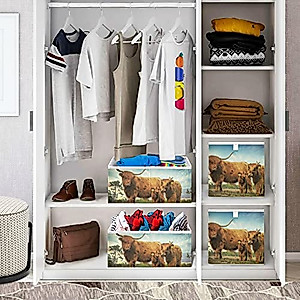 Kigai Storage Basket Highland Cow Foldable Storage Bin 11 X 11 X 11 Inches Cube Storage Baskets Box for Shelves Closet Laundry Nursery Bedroom Home Decor