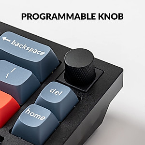Keychron Q2 Wired Custom Mechanical Keyboard Knob Version, 65% Layout QMK/VIA Programmable Macro with Hot-swappable Gateron G Pro Blue Switch Double Gasket Compatible with Mac Windows Linux (Black)