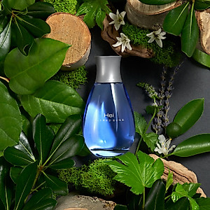 Alfred Sung HEI Cologne For Men, Eau De Toilette Spray Vaporisation for Day or Night, 3.4 oz