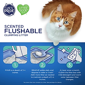 Cat's Pride Lightweight Clumping Litter: Flushable - Powerful Odor Control - Scented, 10 Pounds