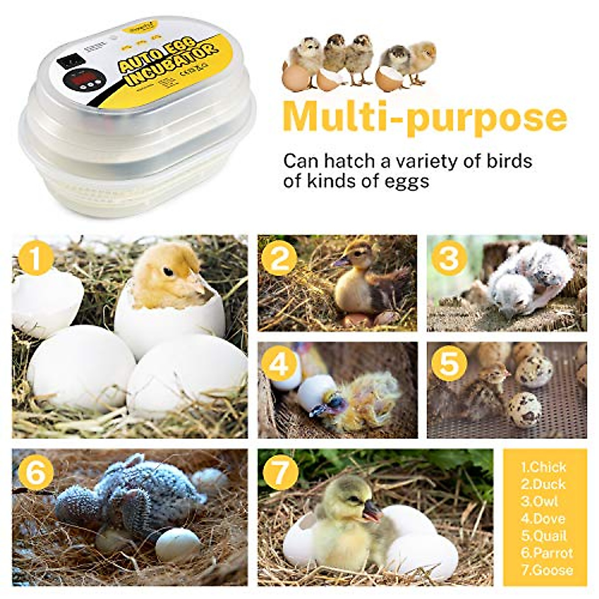 Magicfly Mini Egg Incubators for Hatching Eggs, with Automatic Egg Turning, 9-12 Eggs Hatching Incubator for Chickens, Ducks, Goose, Birds