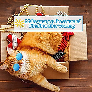 15 Pieces Small Pet Sunglasses Retro Dog Sunglasses Round Metal Puppy Sunglasses Cosplay Glasses Photo Props Eyewear for Cats and Small to Medium Sized Dogs