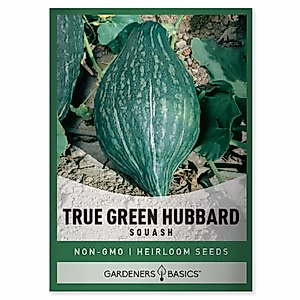 True Green Hubbard Squash Seeds for Planting - Winter Squash Heirloom, Non-GMO Vegetable Squash Variety- 5 Grams Seeds Great for Summer Gardens by Gardeners Basics