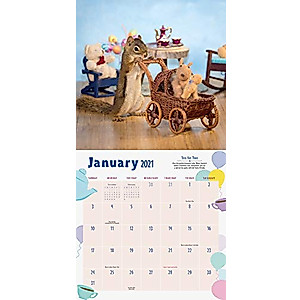 The Secret Life of Squirrels Wall Calendar 2021