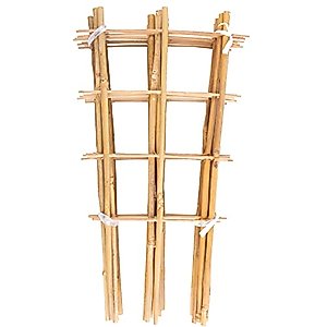 Avalution 10 Pack Bamboo Trellis for Climbing Plants 16" Natural Garden Ladder Trellis, Fan -Shaped Plant Support Trellis for Potted Plant Decor