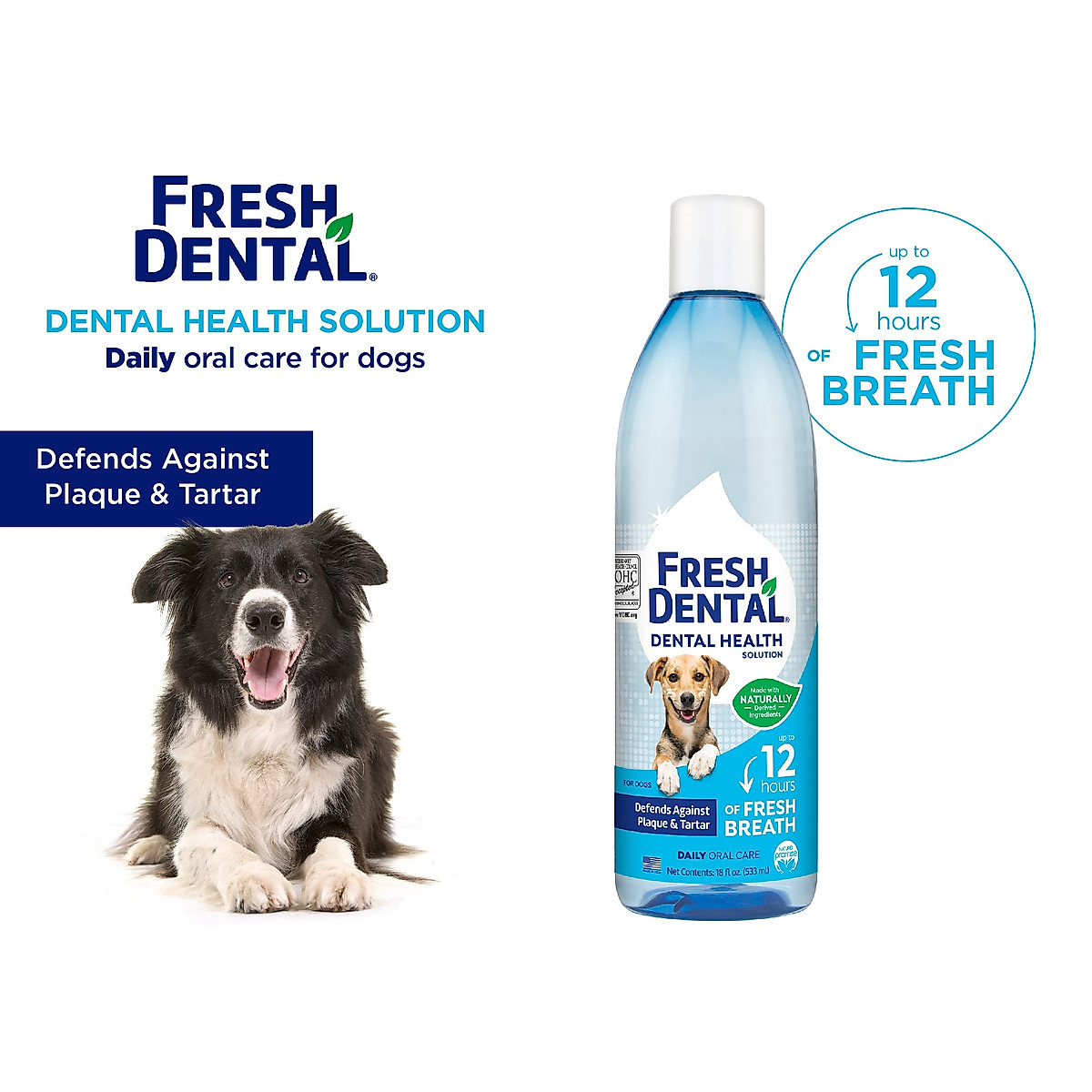 Naturel Promise Fresh Dental Water Additive - Dental Health Solution for Dogs - Easy to Use - Helps Clean Teeth - Freshens Breath Up to 12 Hours - No Brushing Required - 18 Fl Oz, 1 Pack