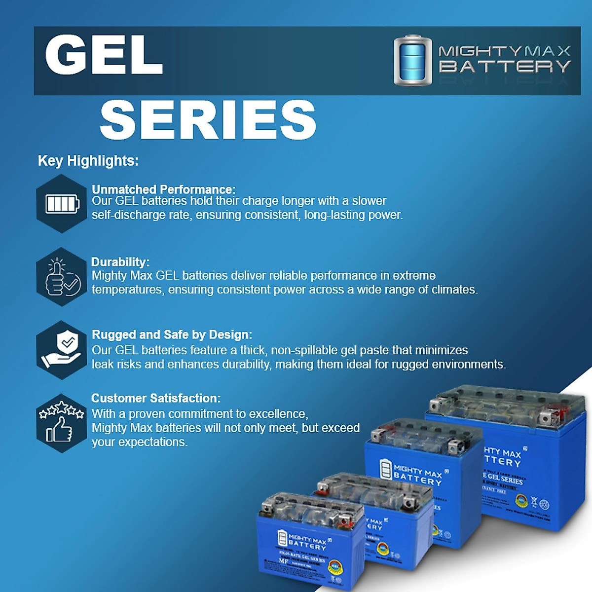 Mighty Max Battery YTX14-BS GEL Replacement Battery for Duralast CTX14-BSFP