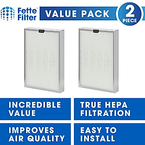 Fette Filter - True Hepa H13 Replacement Filter Compatiable with Medify MA-125 Air Purifier MA-125R, with 3 in 1 High-Efficiency Filter Compare to Part # 125-R (2QTY)