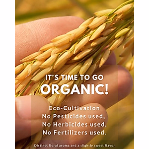 Organic Thai Jasmine Microwavable Cooked Brown Rice - Gluten-free - Vegan Healthy Ready to Eat 6 x 4.6 OZ Pouch (Brown Rice 6 Pouches)