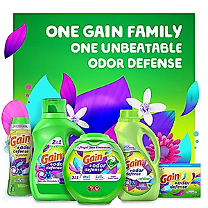 Gain + Odor Defense Laundry Detergent Liquid Soap, 2-Pack, Super Fresh Blast Scent, 65 Fl Oz Each