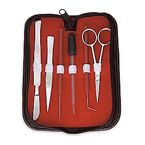 Anatomy Lab Sheep Brain Dissection Kit with Scalpel Dissection Guide and Dissection Specimen for Biology College Anatomy