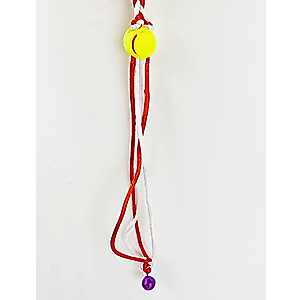 5 Pack Adjustable Hamster Harness Small Animal Bell Harness Rope Harness Small Animal Safety Rope with Bell for Chinchilla Rabbit Hamster Guinea Pig Squirrel Small Animal