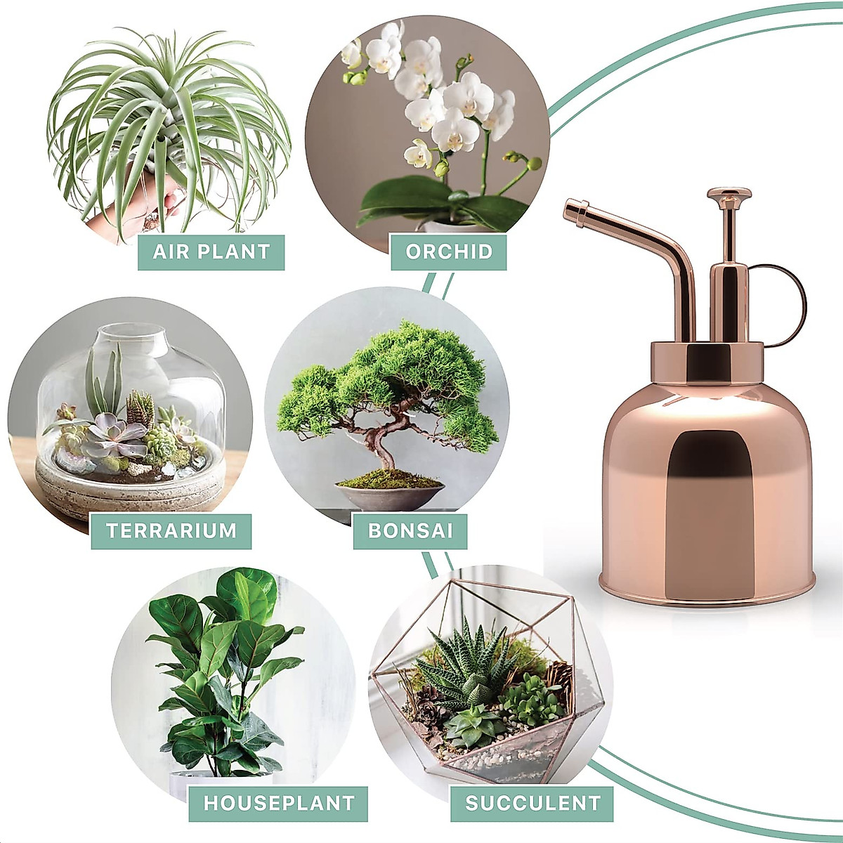 LOOPSEED Stainless Steel Plant Mister Spray Bottle Watering Can for Indoor Plants Succulent Bonsai Garden Spray Houseplant Spritzer Modern Garden Tools 10oz/300ml (ROSE GOLD)