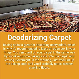 Arm & Hammer Double Duty Clumping Cat Litter, 14lb