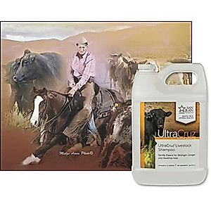 UltraCruz Livestock Shampoo, 1 Gallon