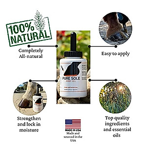 Pure Sole Hoof Oil - All Natural Hoof Conditioner for Horses with Hoof Oil Brush Applicator - Strengthens, Moisturizes and Treats Hoof Problems - 16 fl oz.